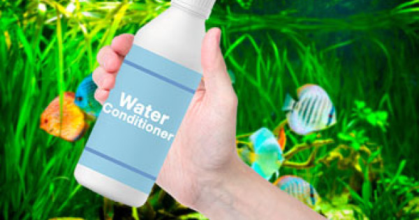 WATER TREATMENT & ADDITIVES