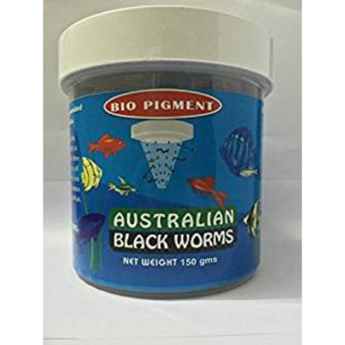 Australian Black Worms