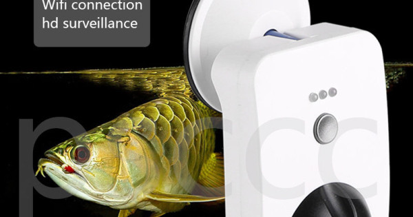 Sunsun Aquarium Camera - Aquarium HD Camera with WIFI remote ...